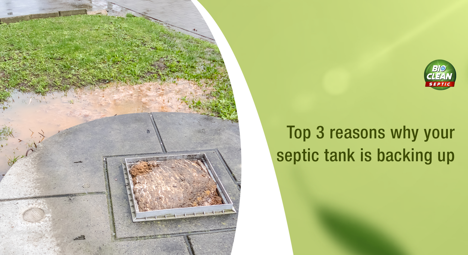 Top 3 Reasons Why Your Septic Tank Is Backing Up – Bioclean